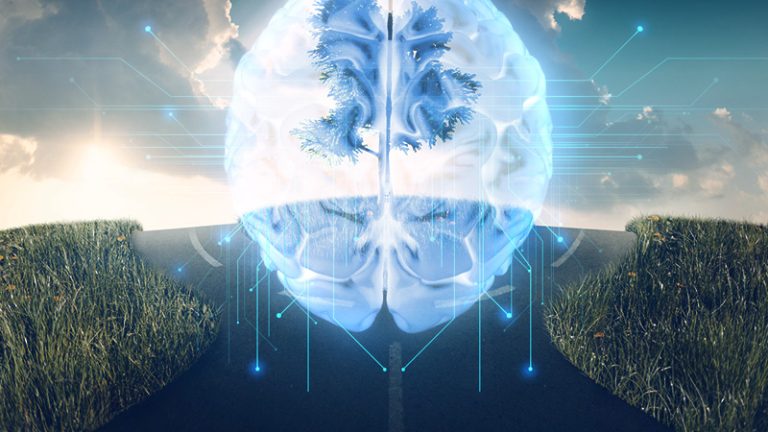 Brain regions used for recognizing things change with age - Ars Technica