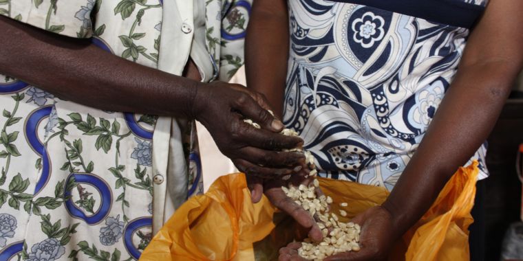 Can sub-Saharan Africa produce enough food to meet growing demand ...