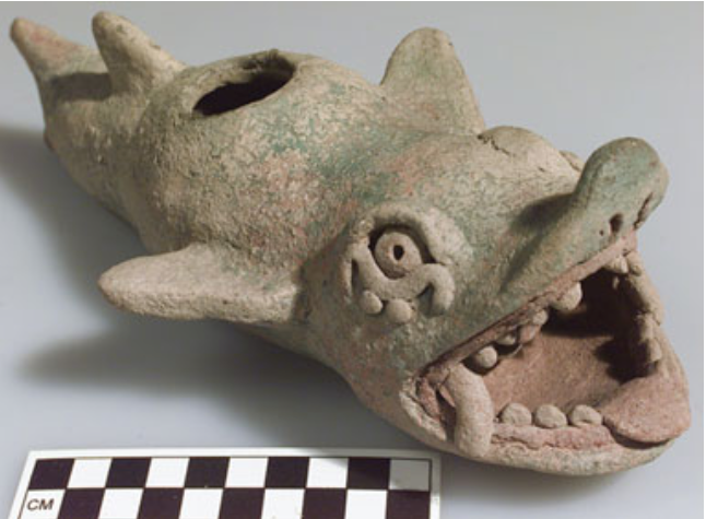 How the ancient Maya brought sharks to the jungle - Ars Technica