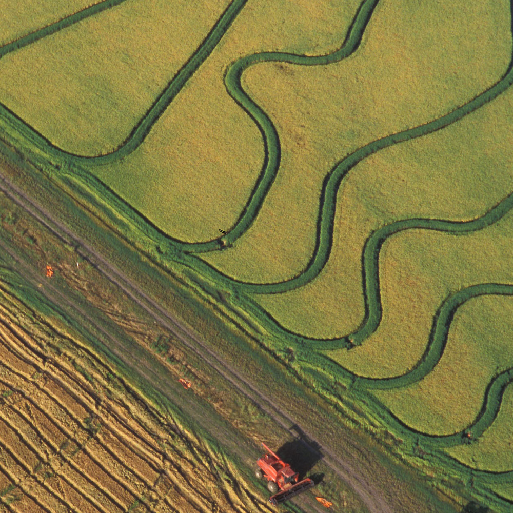 Tag: crop model - Ars Technica