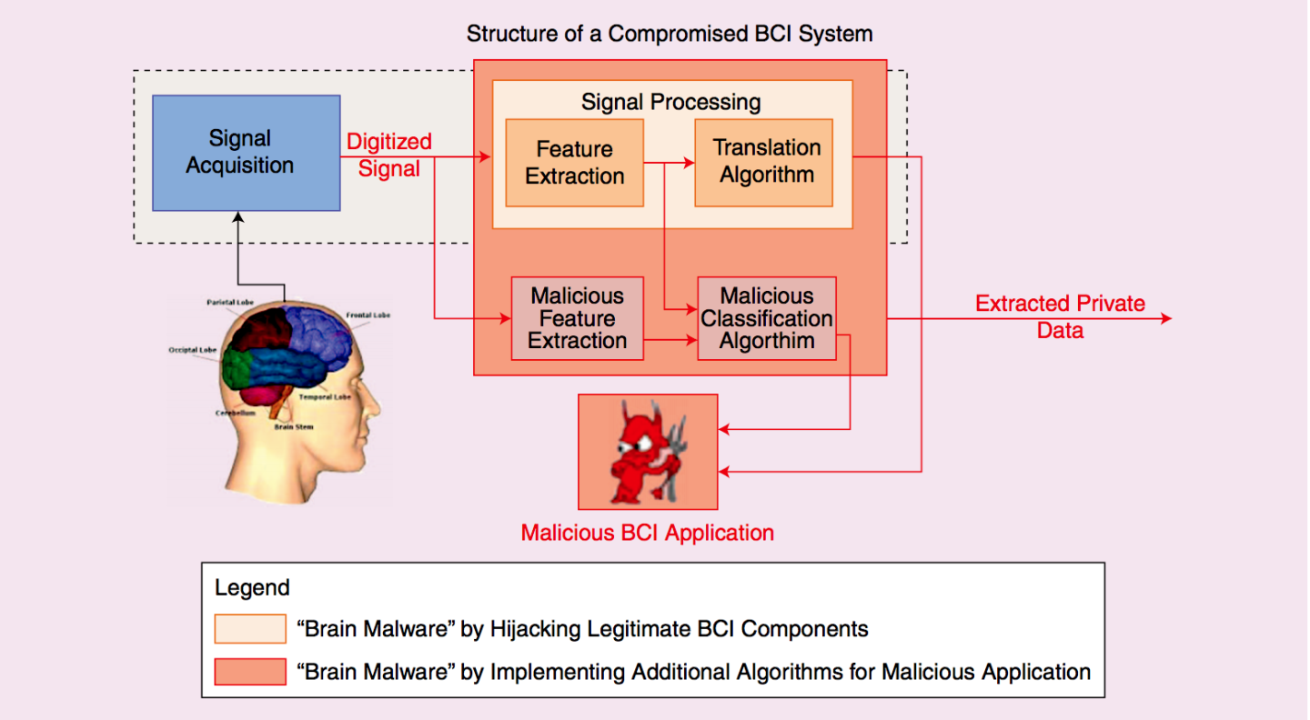 In not-too-distant future, brain hackers could steal your deepest ...