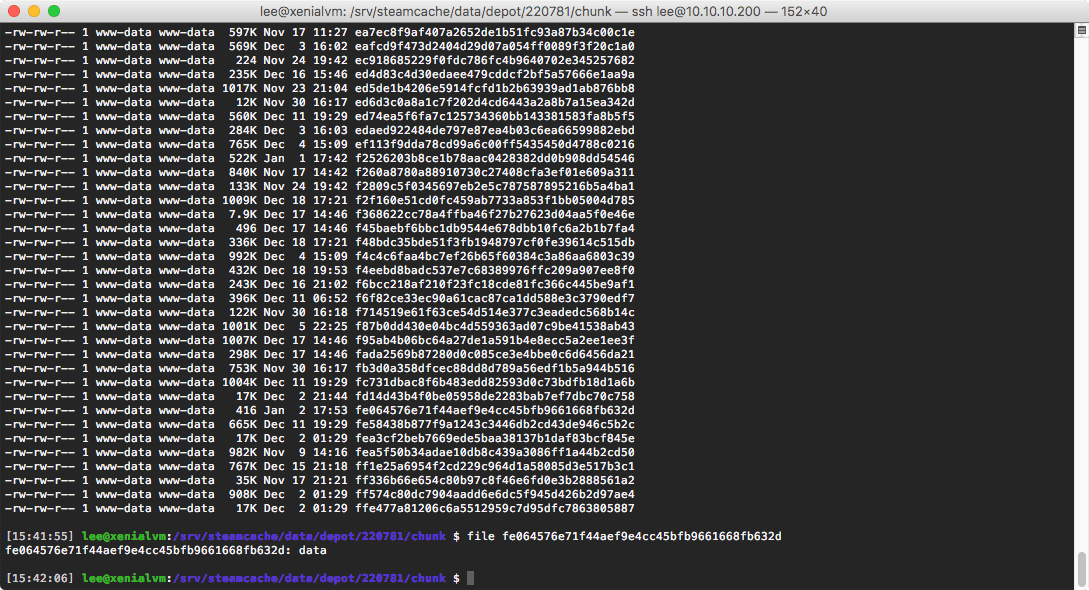 Building a local Steam caching server to ease the bandwidth blues - Ars ...