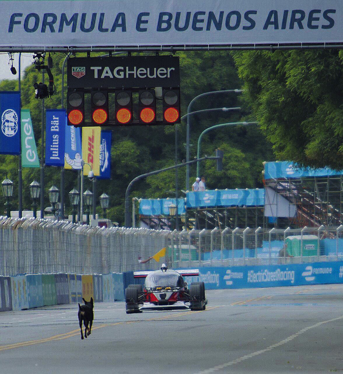 Driverless race cars dodge stray dog in Argentina—but one wipes out ...
