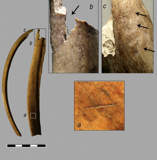 There was an outbreak of cannibalism 10,000 years ago in Spain - Ars ...