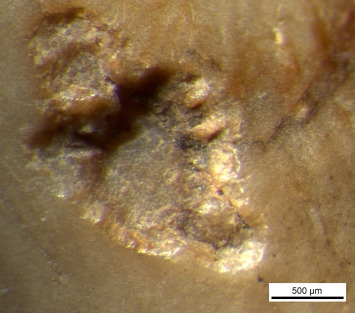 There was an outbreak of cannibalism 10,000 years ago in Spain - Ars ...