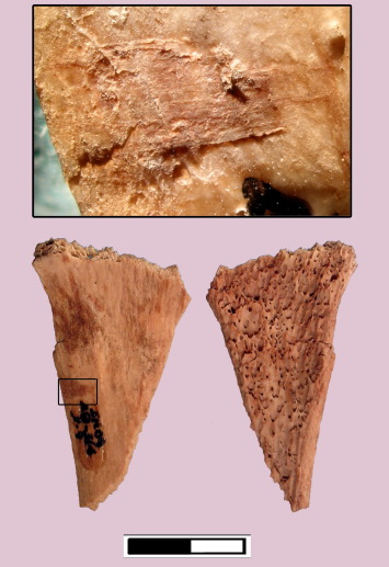 There was an outbreak of cannibalism 10,000 years ago in Spain - Ars ...