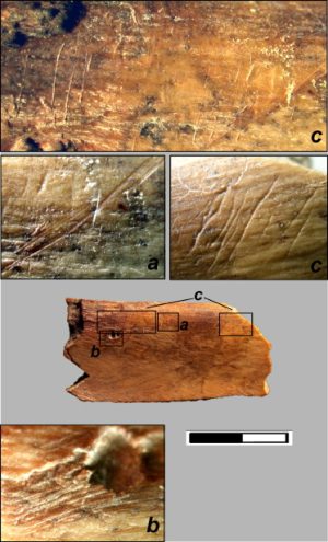There was an outbreak of cannibalism 10,000 years ago in Spain - Ars ...