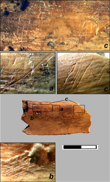 There was an outbreak of cannibalism 10,000 years ago in Spain - Ars ...