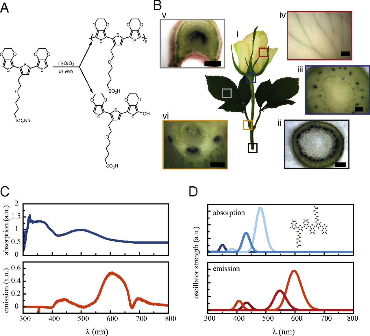 Researchers create electronic rose complete with wires and ...
