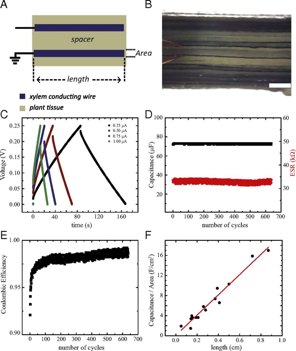 Researchers create electronic rose complete with wires and ...