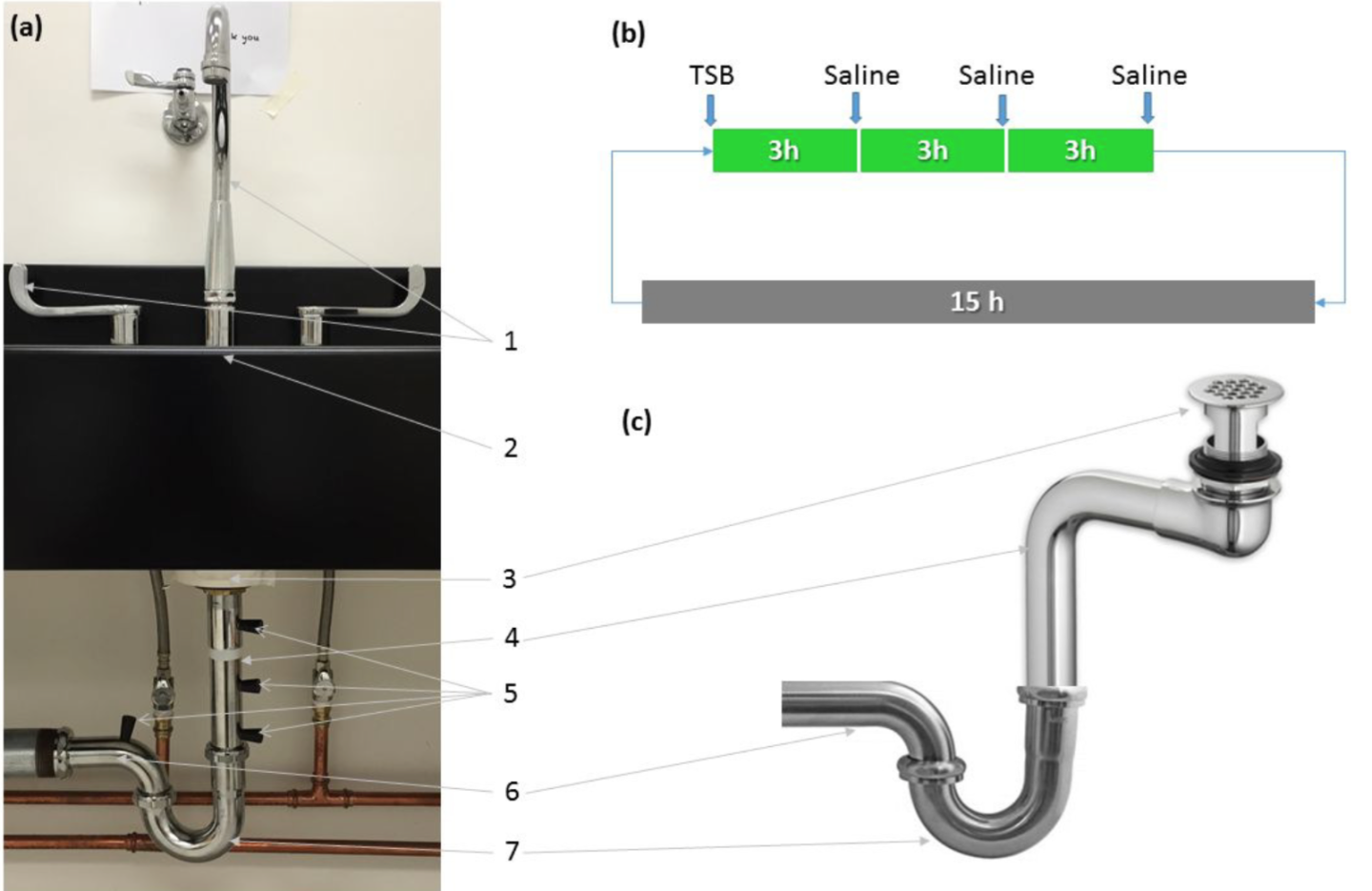 Turning the water on in a sink can launch pipe-climbing superbugs - Ars ...