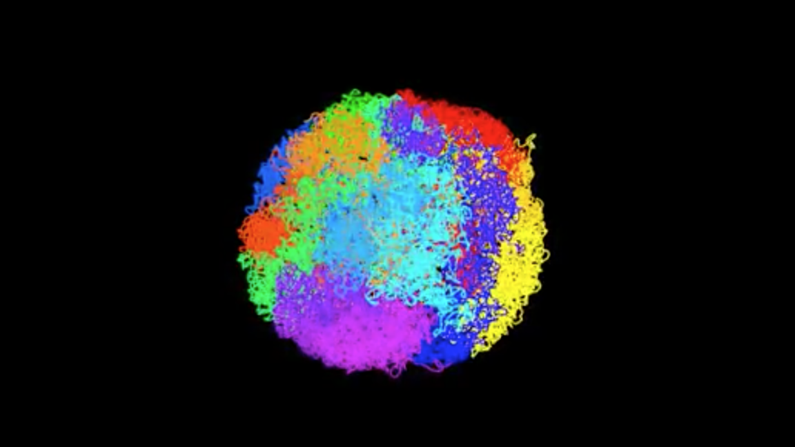 Here’s the first 3D glimpse of how DNA is packaged up in a single cell ...