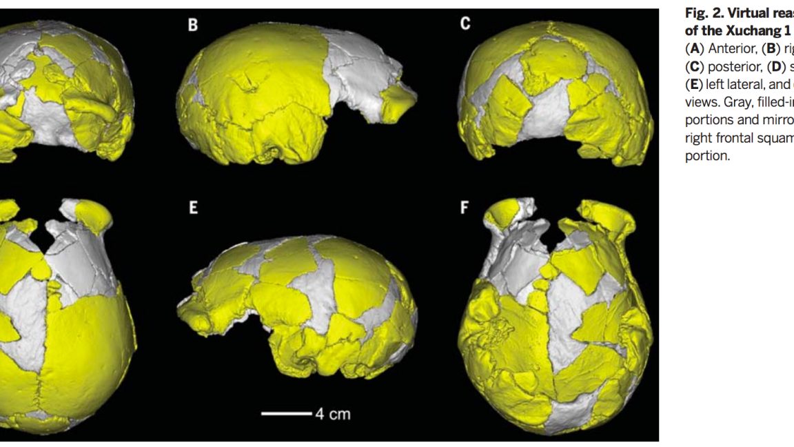 Fossils reveal ancient “unknown” human in China - Ars Technica