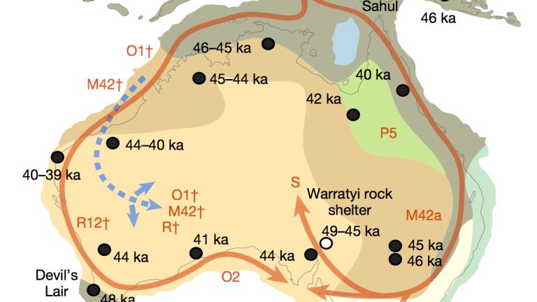 Australia was colonized by a single group 50,000 years ago - Ars Technica