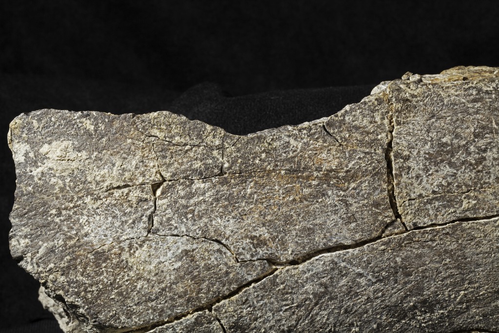 Incredible discovery places humans in California 130,000 years ago ...