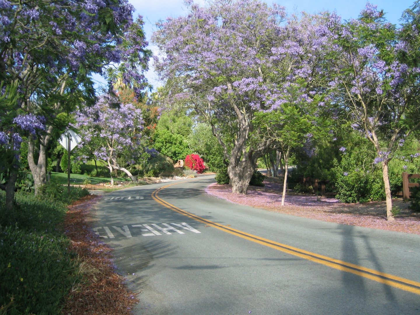 The art of driving fast on public roads in the 21st century: A how-to ...