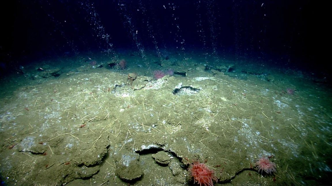 In the Arctic, carbon dioxide goes down where methane comes up - Ars ...
