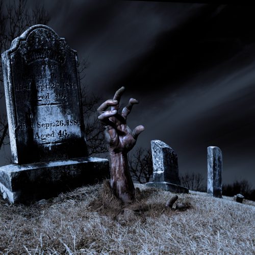 Tag: brain death - Ars Technica