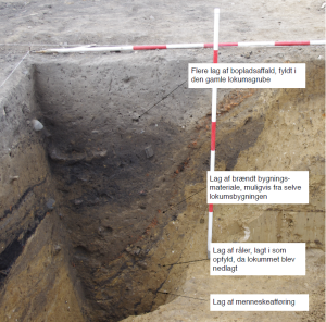 Unexpected Viking toilet discovery leads to controversy - Ars Technica