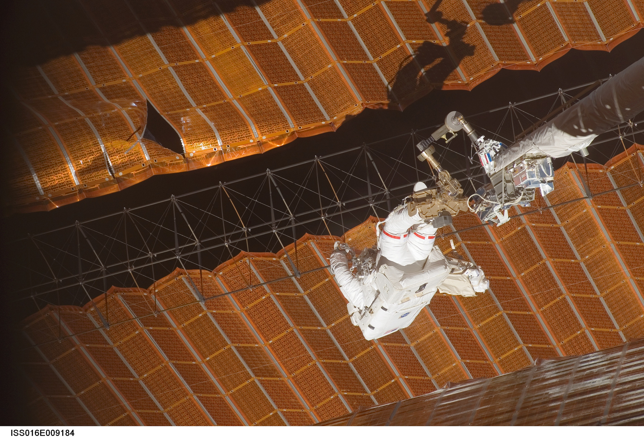 Great Scott! This astronaut has probably endured more extremes than ...