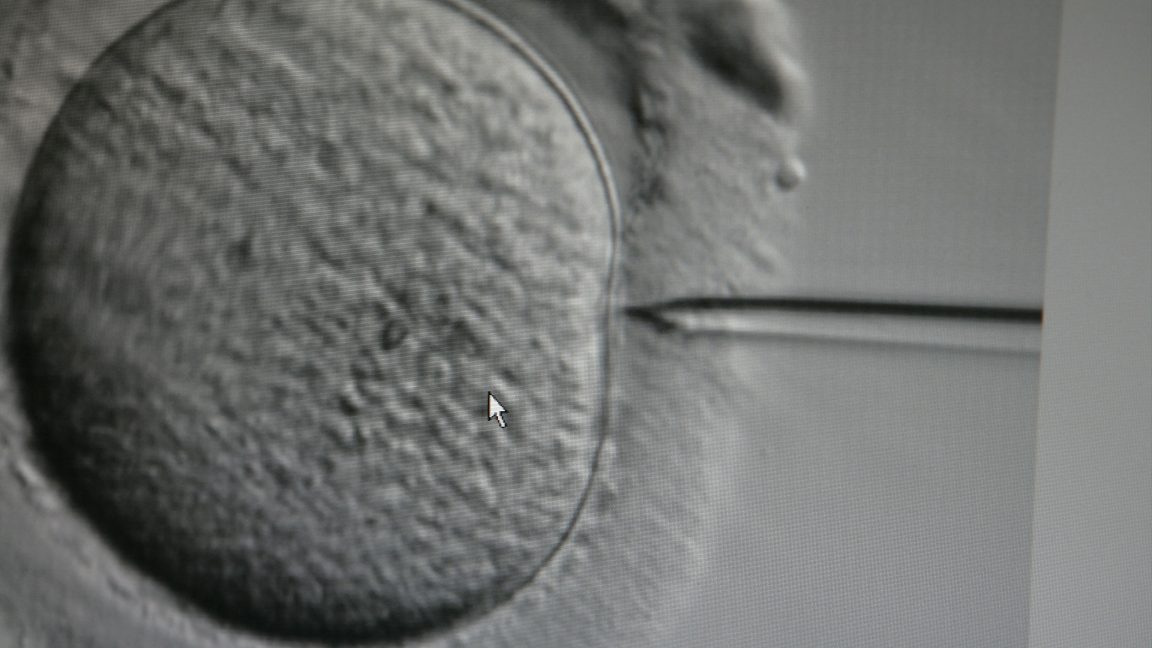 Report: Human embryo edited for first time in US, pushes limits - Ars ...