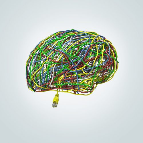 Tag: brain models - Ars Technica