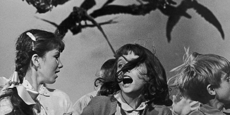 At the boundary between chaos and order, order rules (eventually) | Ars ...