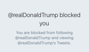 Twitter users blocked by Trump sue, claim @realDonaldTrump is public ...