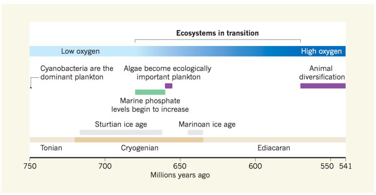 The origin of complex life on Earth just got a little less mysterious ...