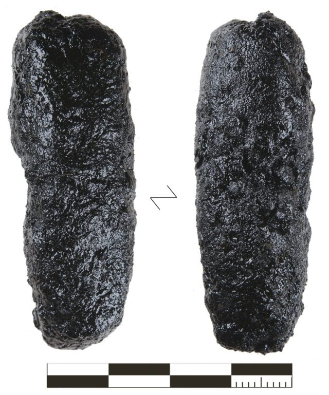 Neanderthals were distilling tar 200 thousand years ago in Europe - Ars ...