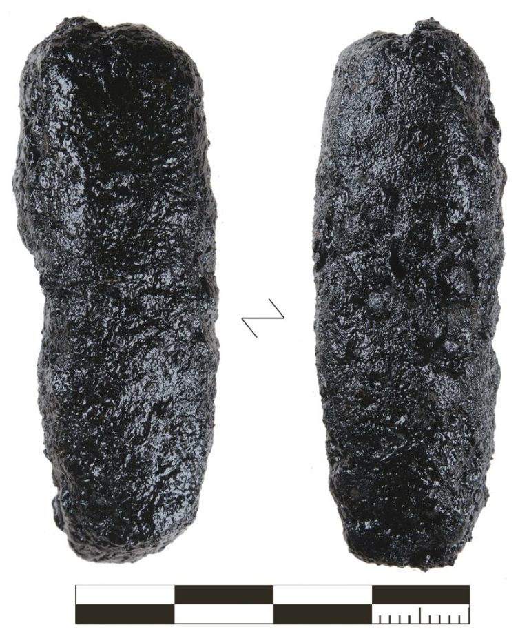 Neanderthals were distilling tar 200 thousand years ago in Europe - Ars ...