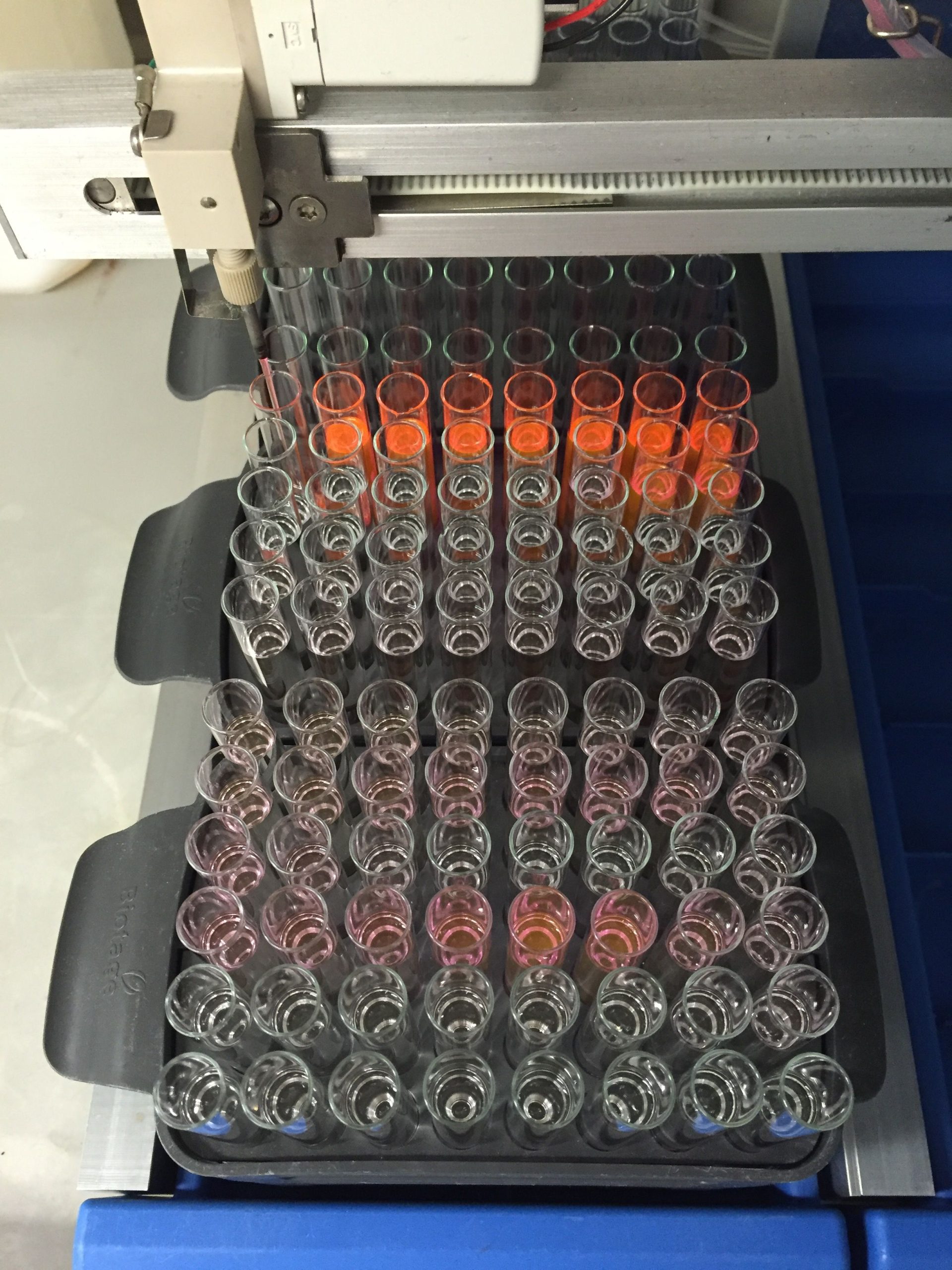 The dye whisperer: Meet the chemist giving biologists worldwide new ...