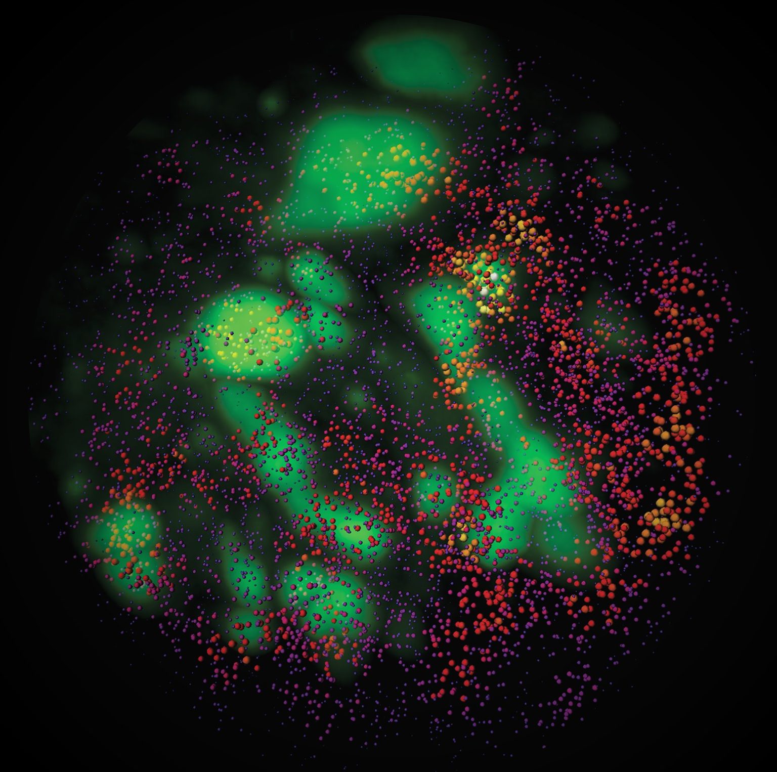 The dye whisperer: Meet the chemist giving biologists worldwide new ...