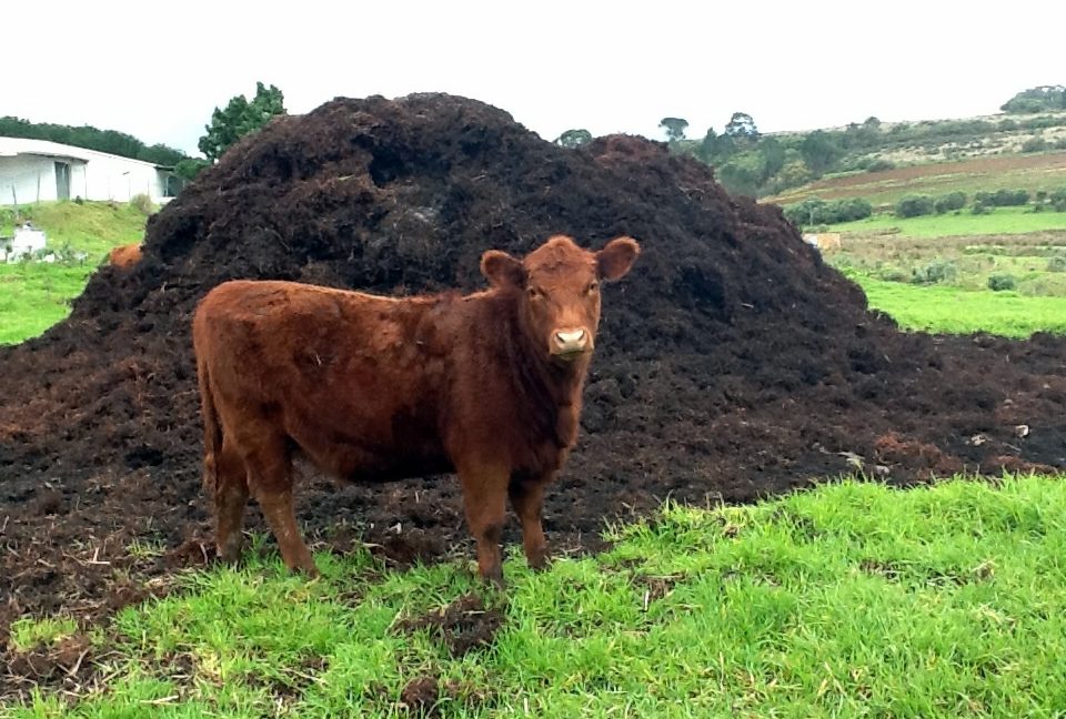 In a first, Android apps abuse serious “Dirty Cow” bug to backdoor ...