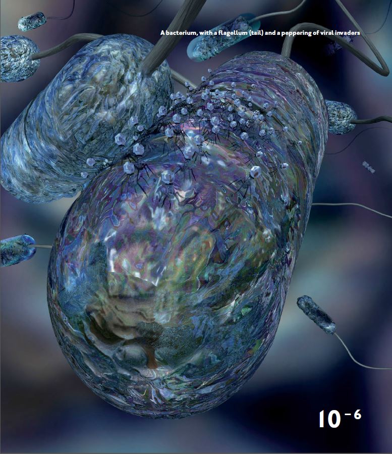 The Zoomable Universe is a feast for your eyes and brain - Ars Technica