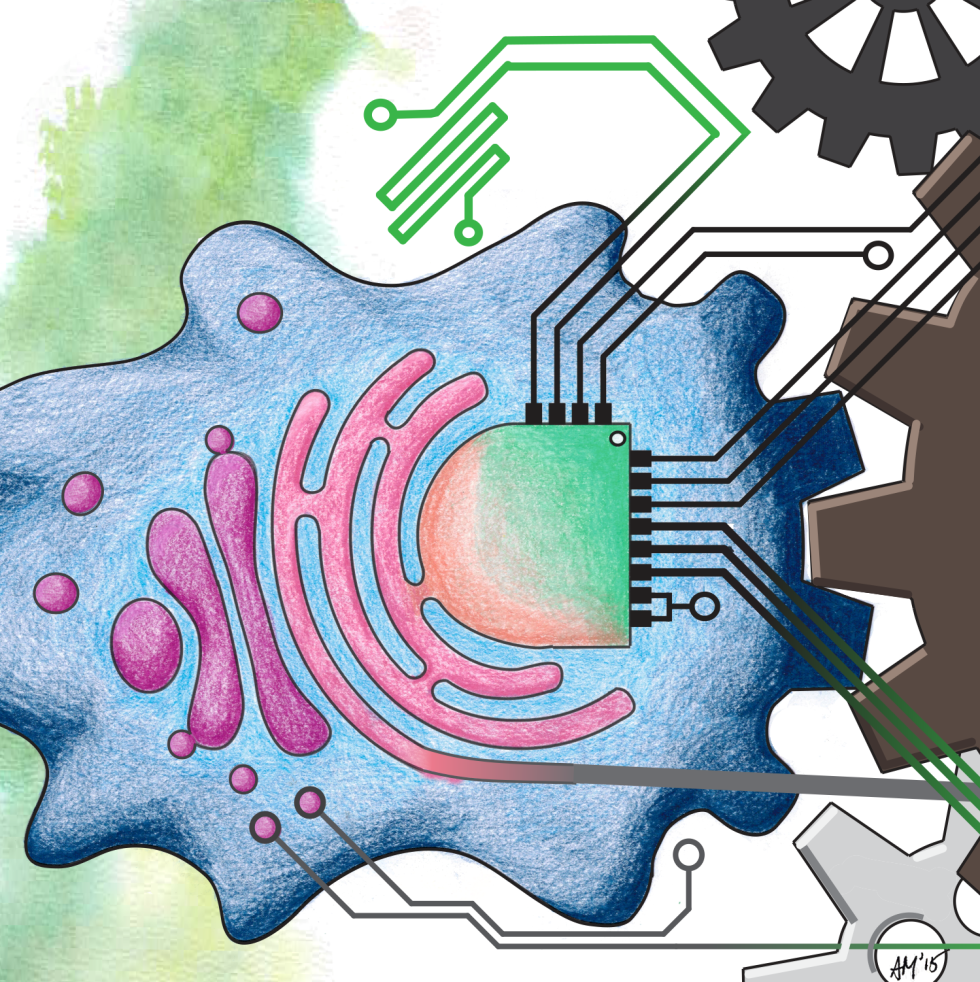 The E in E. coli now stands for electronics - Ars Technica