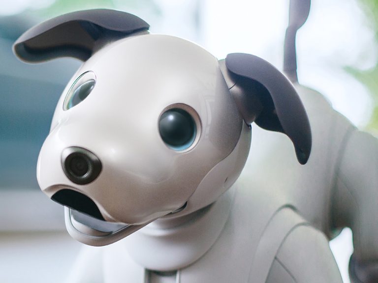 Sony’s Aibo robot dog is back, gives us OLED puppy dog eyes - Ars Technica