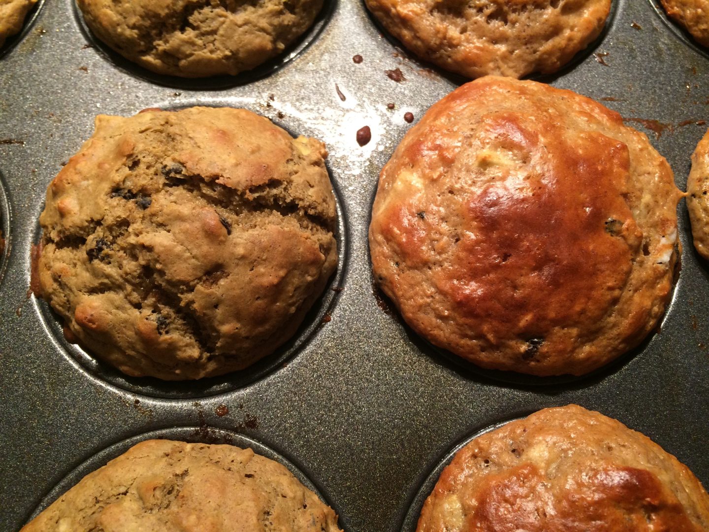How to protein-up your holiday muffins (Hint: Don’t add powdered ...