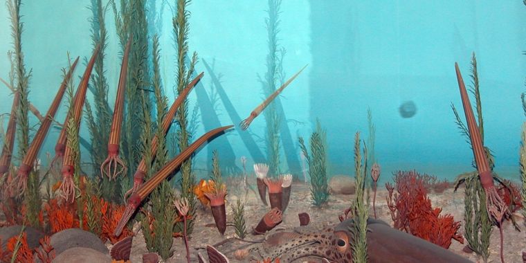 If you liked the Cambrian Explosion, you’ll love the Ordovician ...
