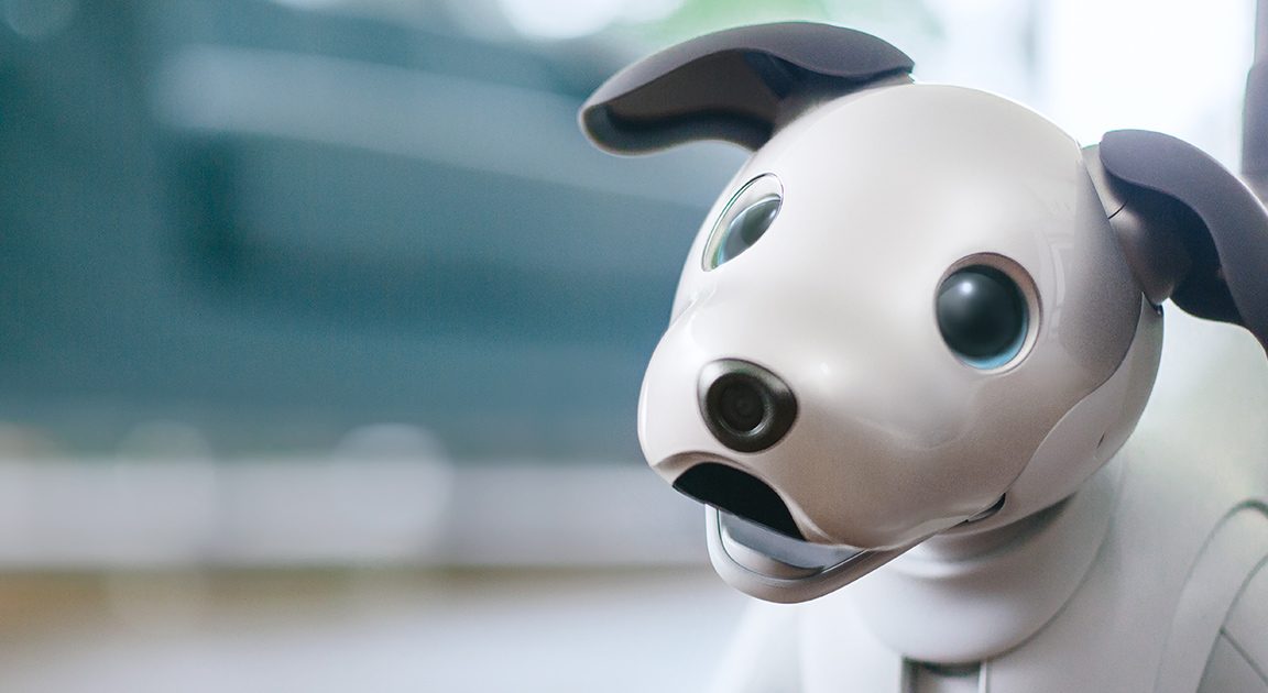 Sony’s Aibo robot dog is back, gives us OLED puppy dog eyes - Ars Technica
