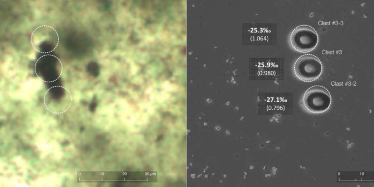 Hotly debated 3.5 billion-year-old microbe fossils get another look ...