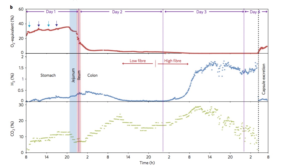 With ingestible pill, you can track fart development in real time on ...