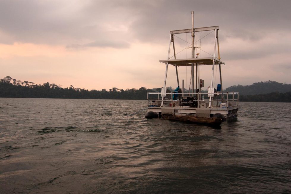 African rainforests vanished for 600 years, then bounced back—why ...