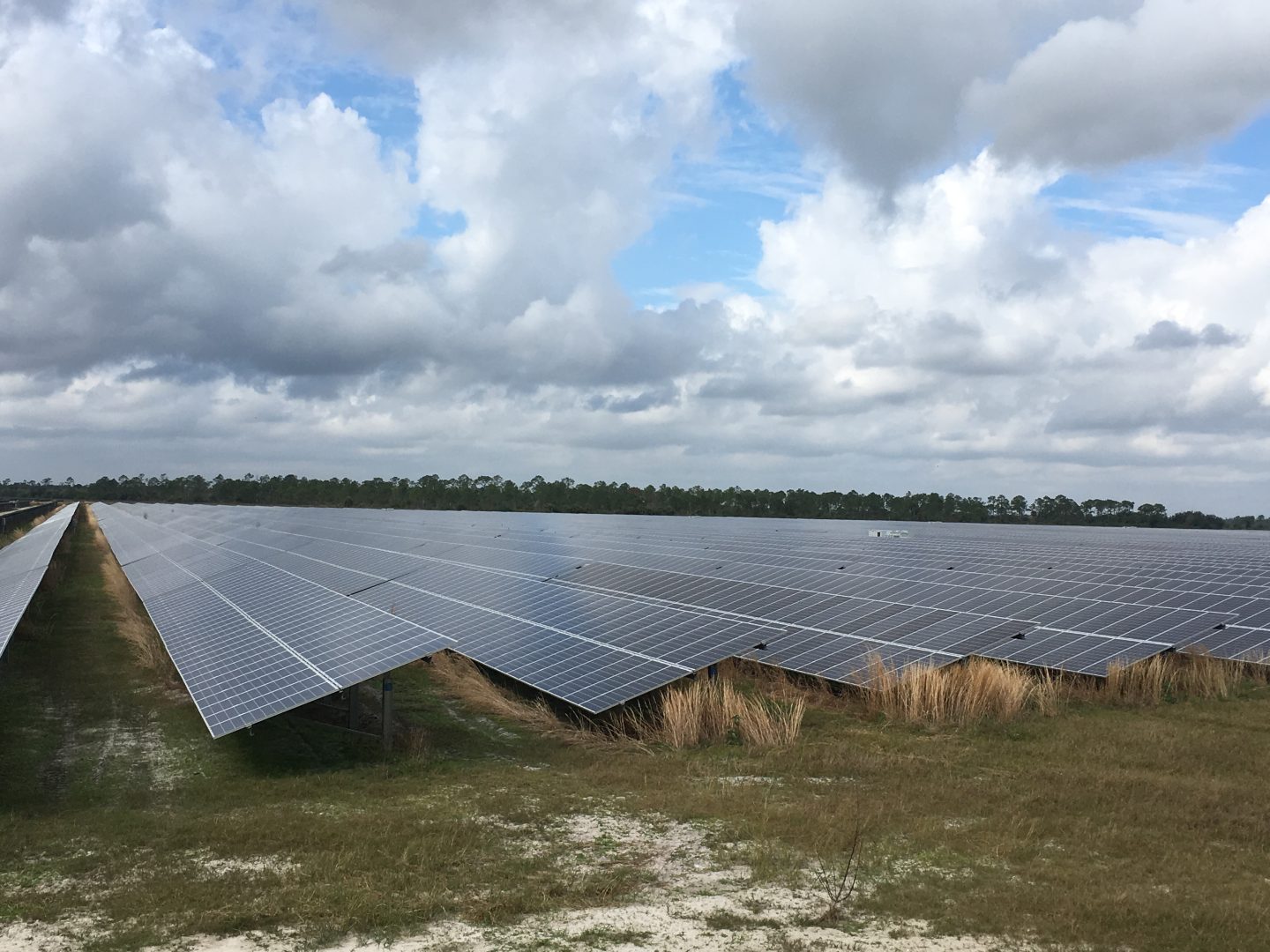 Can you build an entire town off-the-grid? Babcock Ranch wants to find ...