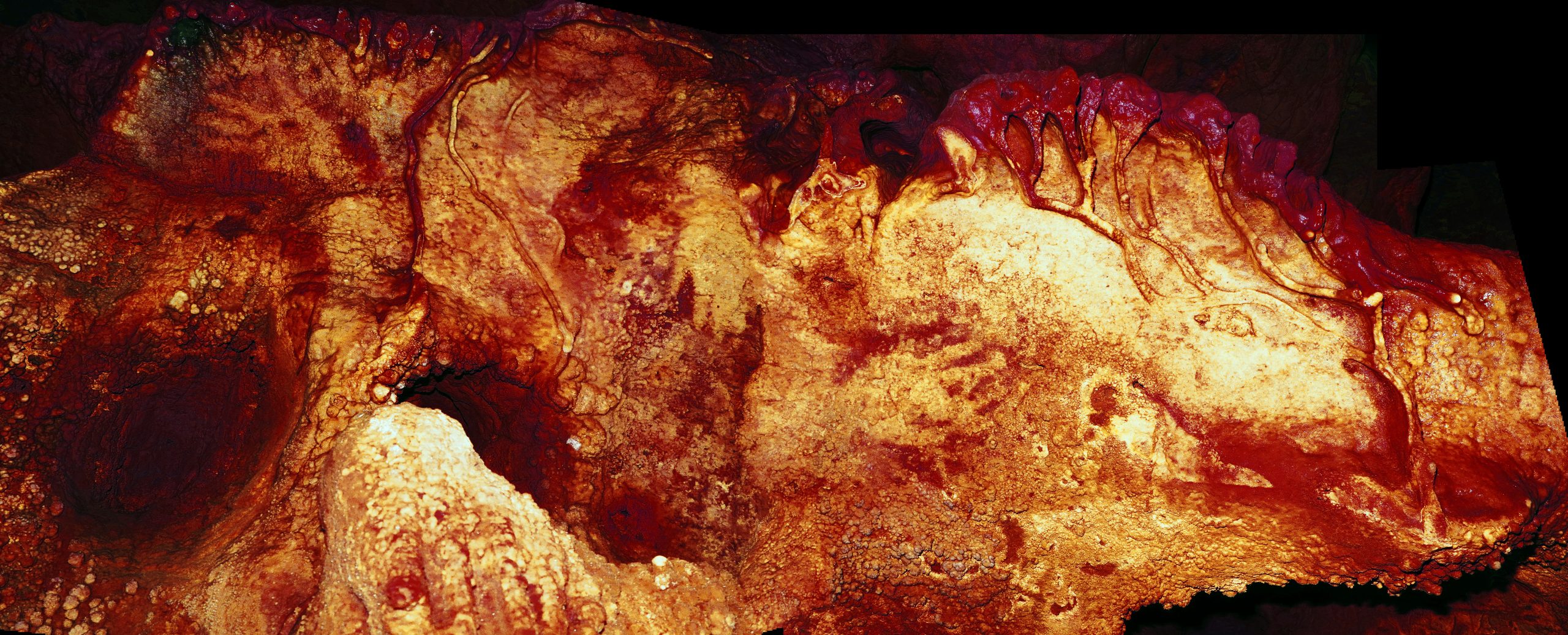 Neanderthals were artists and thought symbolically, new studies argue ...