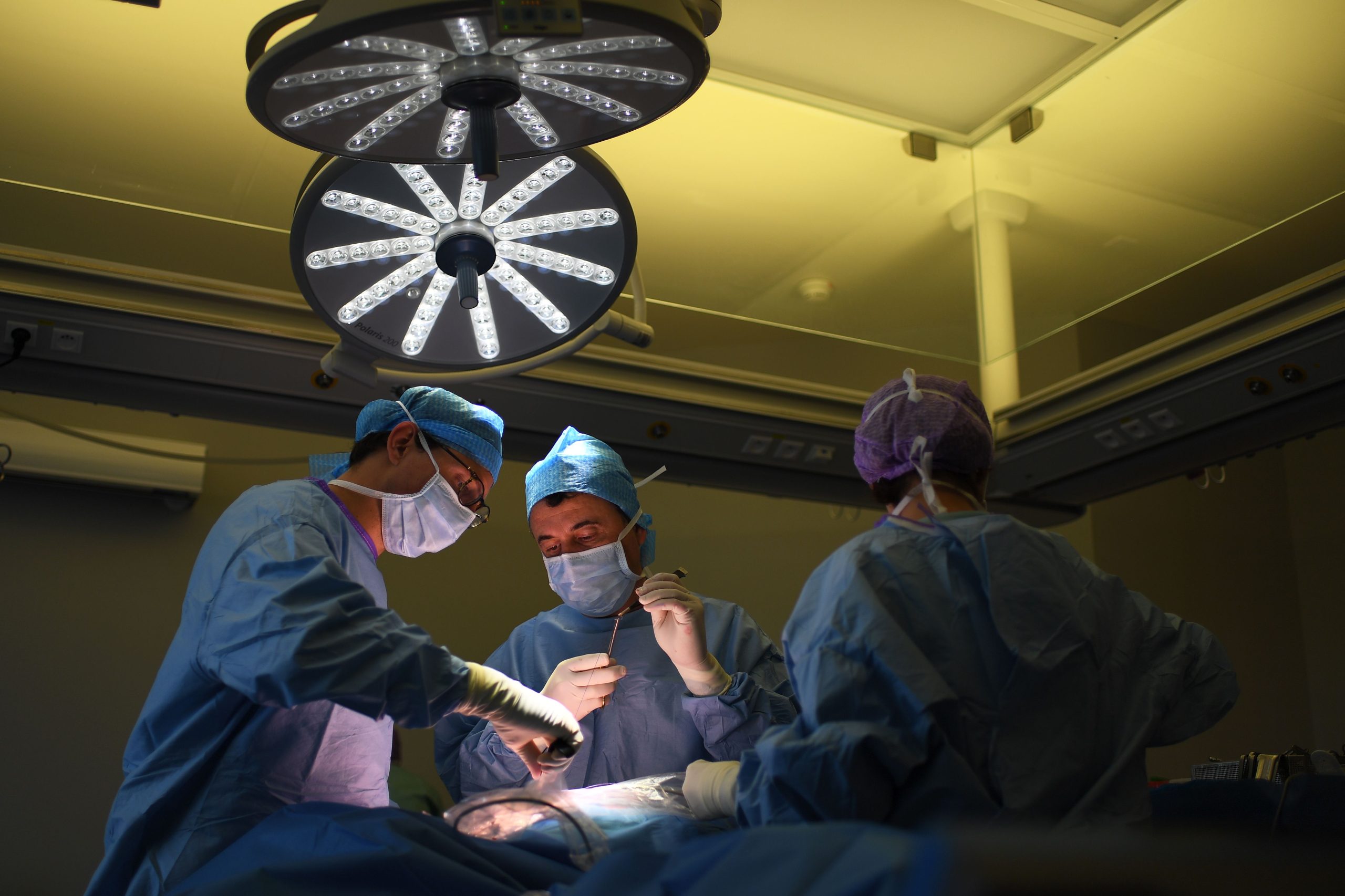 Scientists think they found a new human organ—a fluid-filled “shock ...