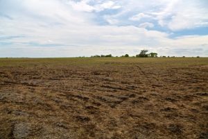 After a remarkable resurrection, Firefly may reach space in 2019 - Ars ...