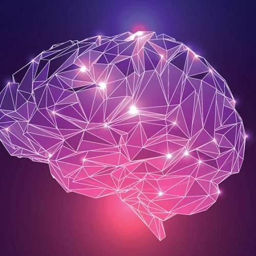 Tag: brain chemistry - Ars Technica