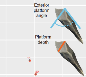 New study tracks the evolution of stone tools - Ars Technica