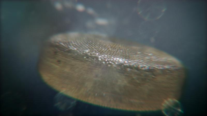 One Strange Rock is a Cosmos for the Earth-bound that’s worth watching ...